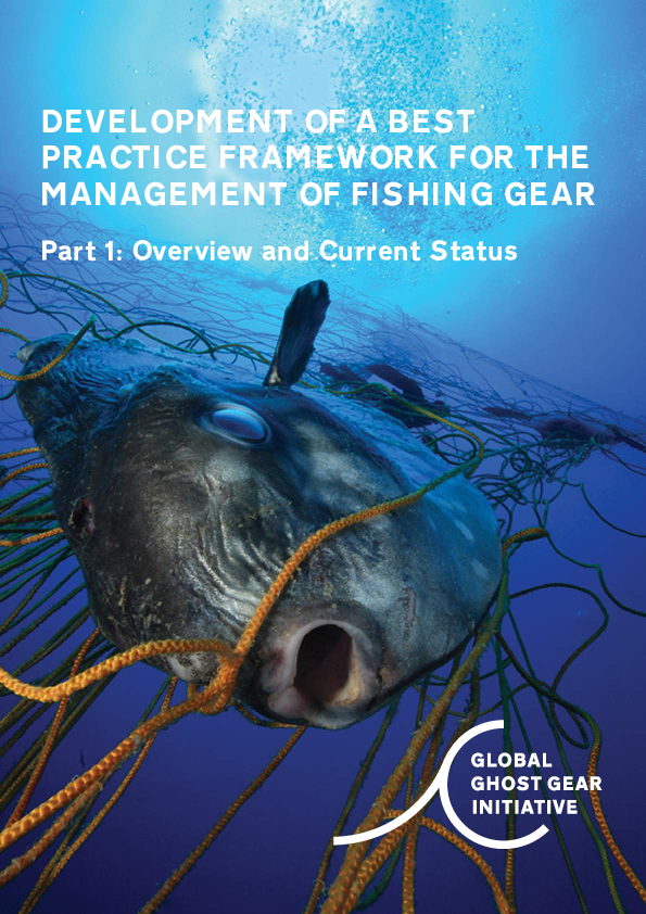 (PDF) Development of a best practice framework for the management of ...