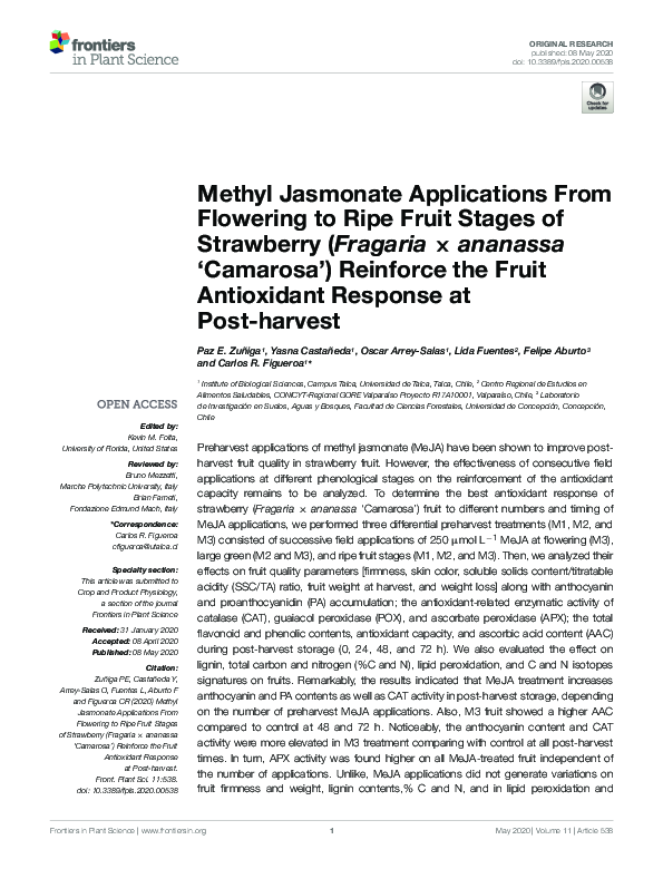 (PDF) Methyl Jasmonate Applications From Flowering to Ripe Fruit Stages of Strawberry (Fragaria ...