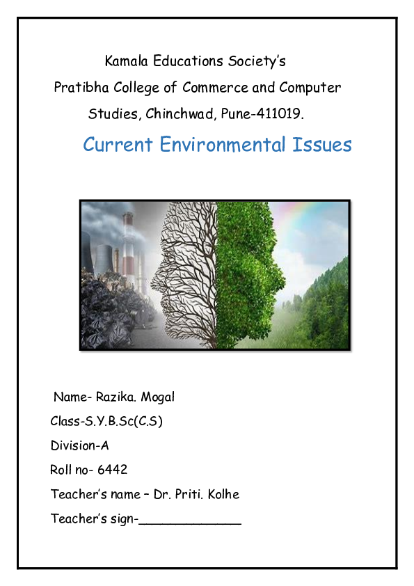 (PDF) Current Environmental Issues