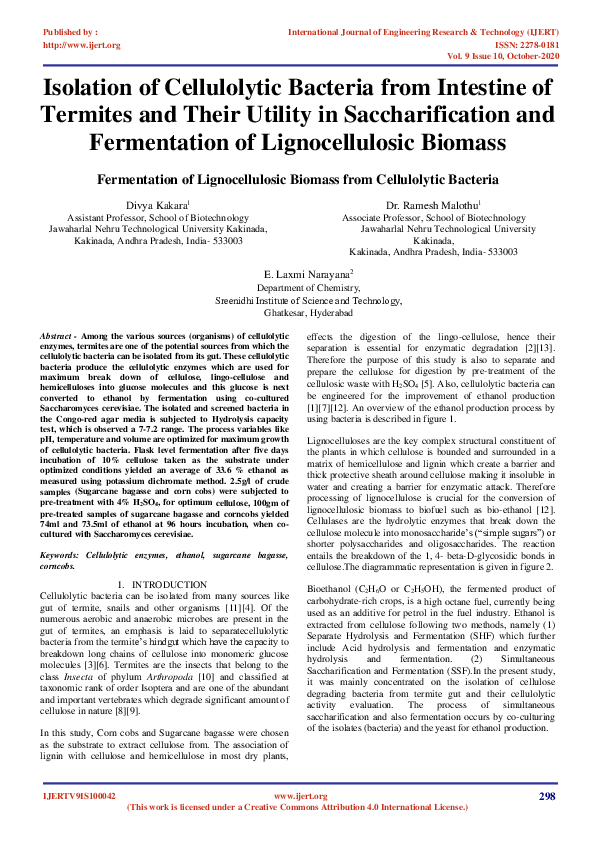 (PDF) Isolation of Cellulolytic Bacteria from Intestine of Termites and ...