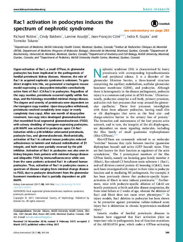 (PDF) Rac1 activation in podocytes induces the spectrum of nephrotic ...