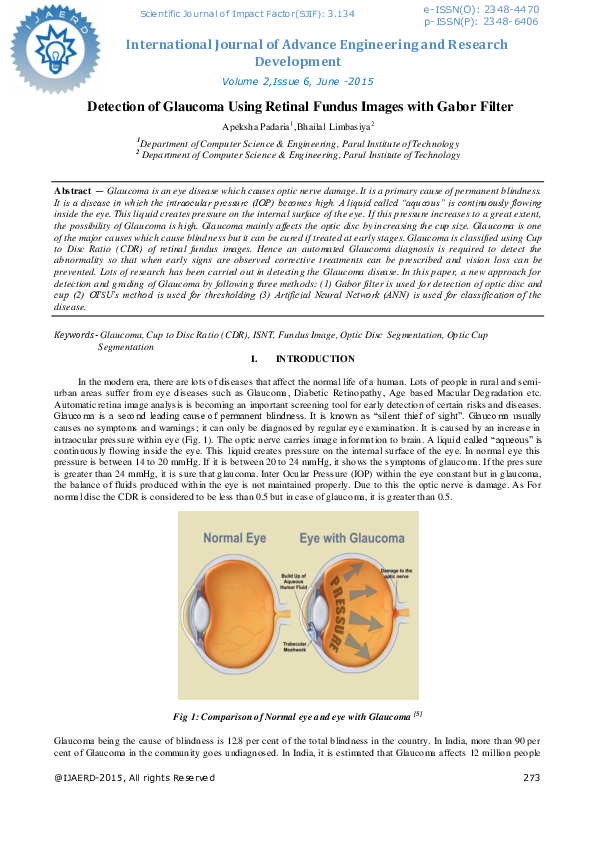 (PDF) Detection of Glaucoma Using Retinal Fundus Images with Gabor Filter