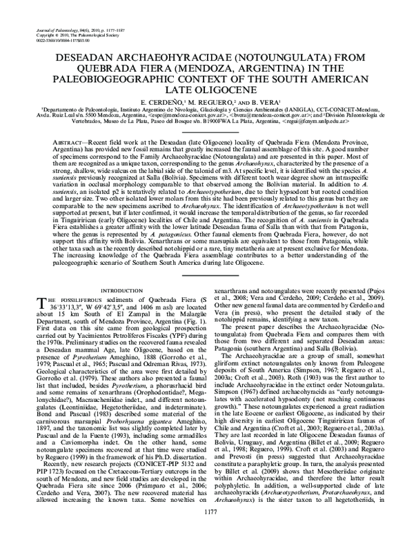 (PDF) Deseadan Archaeohyracidae (Notoungulata) from Quebrada Fiera ...