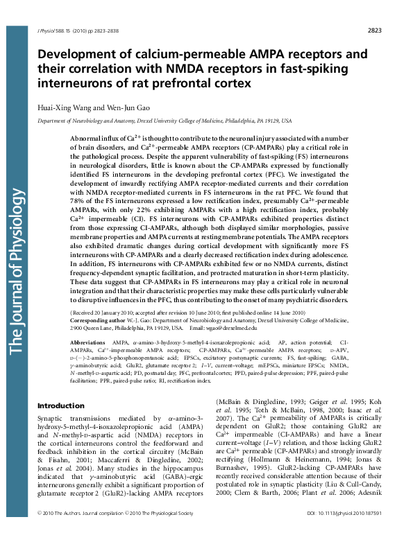 (PDF) Development of calcium-permeable AMPA receptors and their ...