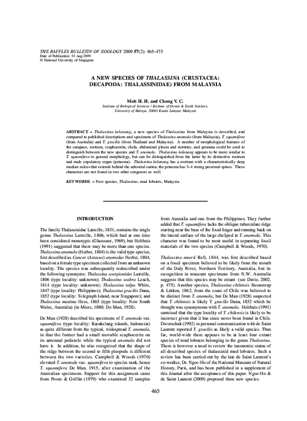 (PDF) A New Species of Thalassina (Crustacea: Decapoda: Thalassinidae ...