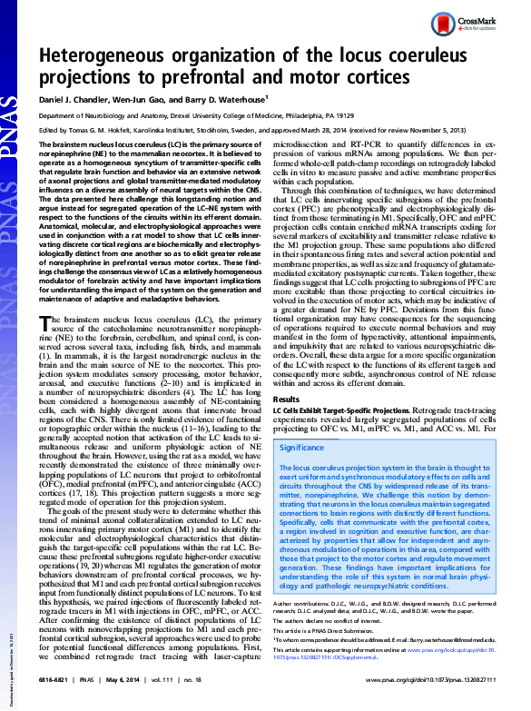 (PDF) Heterogeneous organization of the locus coeruleus projections to ...
