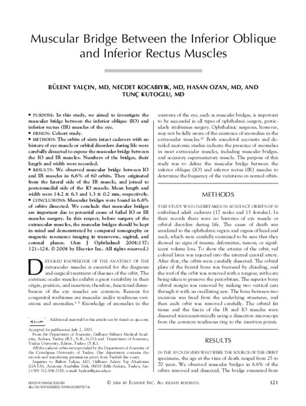 (PDF) Muscular bridge between the inferior oblique and inferior rectus ...