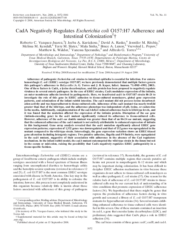 (PDF) CadA Negatively Regulates Escherichia coli O157:H7 Adherence and ...