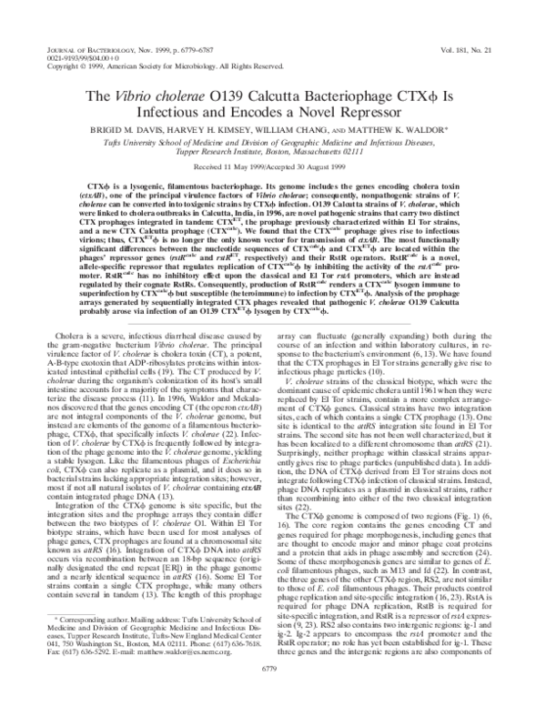 (PDF) The Vibrio cholerae O139 Calcutta Bacteriophage CTXφ Is ...