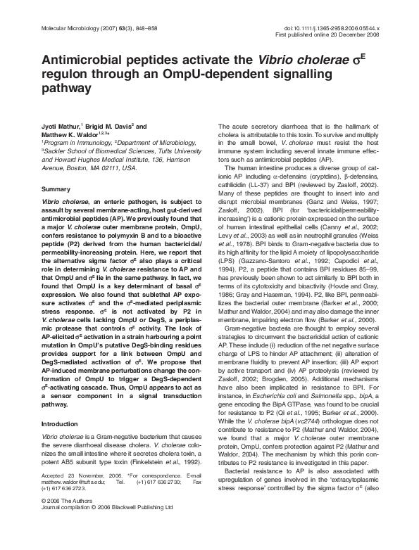 (PDF) Antimicrobial peptides activate the Vibrio cholerae ? E regulon ...
