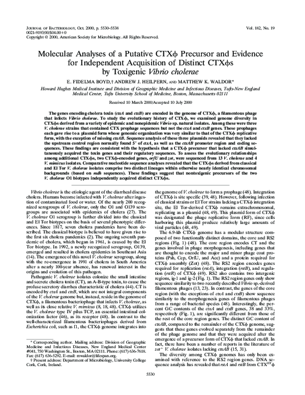 (PDF) Molecular Analyses of a Putative CTXphi Precursor and Evidence ...