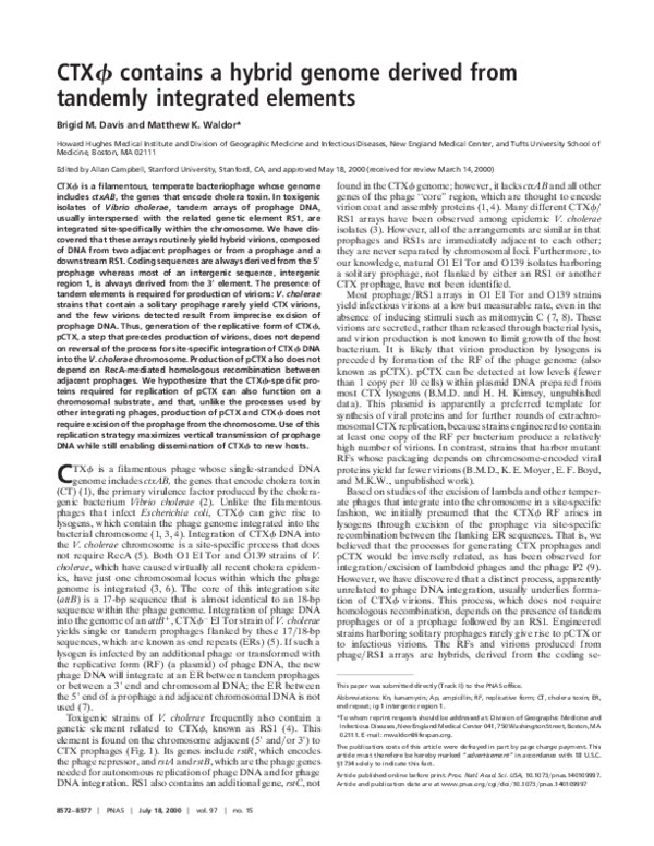 (PDF) CTXphi contains a hybrid genome derived from tandemly integrated ...