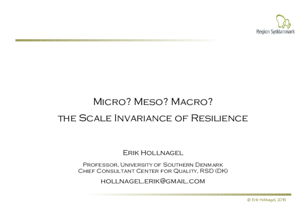 (PDF) Micro? Meso? Macro? The scale invariance of resilience