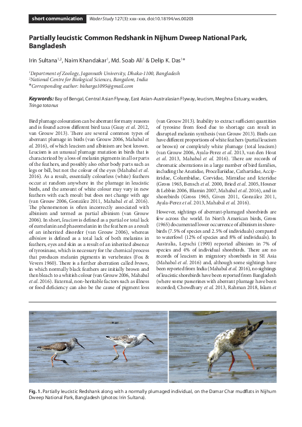 (PDF) Partially leucistic Common Redshank in Nijhum Dweep National Park ...
