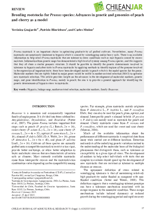 (PDF) Breeding rootstocks for Prunus species: Advances in genetic and ...
