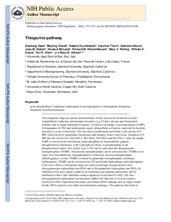 (PDF) Thiopurine pathway