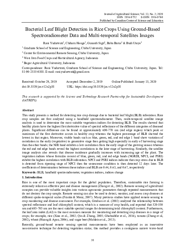 (PDF) Bacterial Leaf Blight Detection in Rice Crops Using Ground-Based ...