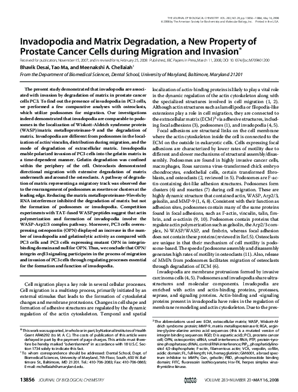 (PDF) Invadopodia and Matrix Degradation, a New Property of Prostate ...