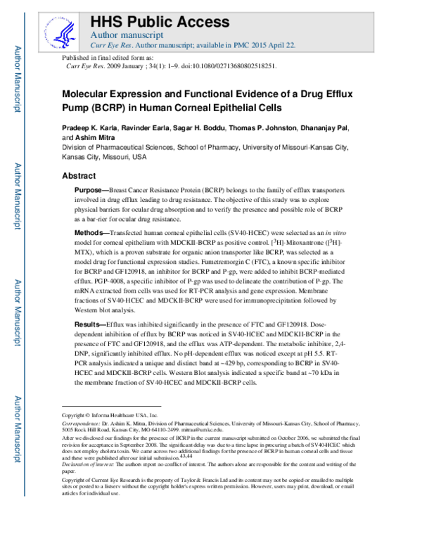 (PDF) Molecular Expression and Functional Evidence of a Drug Efflux ...