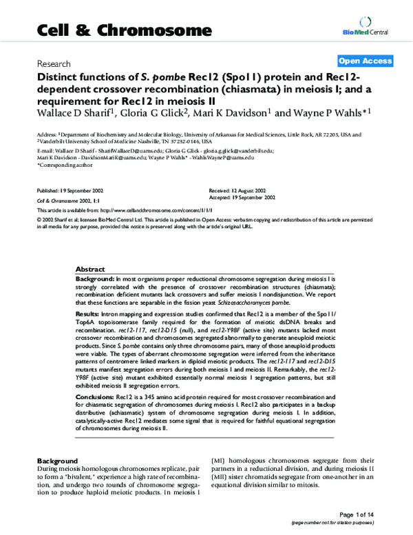 (PDF) Distinct functions of S. pombe Rec12 (Spo11) protein and Rec12 ...