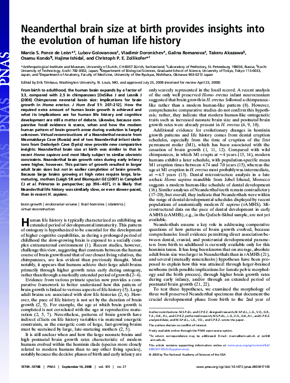 (PDF) Neanderthal brain size at birth provides insights into the ...