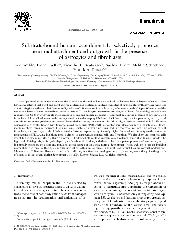 (PDF) Substrate-bound human recombinant L1 selectively promotes ...
