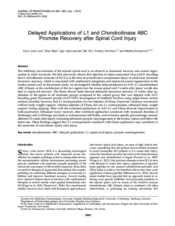 (PDF) Delayed Applications of L1 and Chondroitinase ABC Promote ...