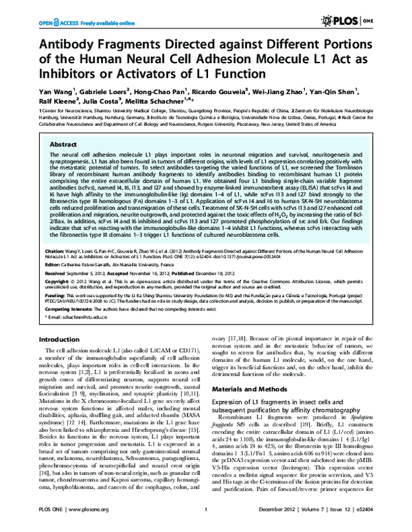 (PDF) Antibody Fragments Directed against Different Portions of the ...