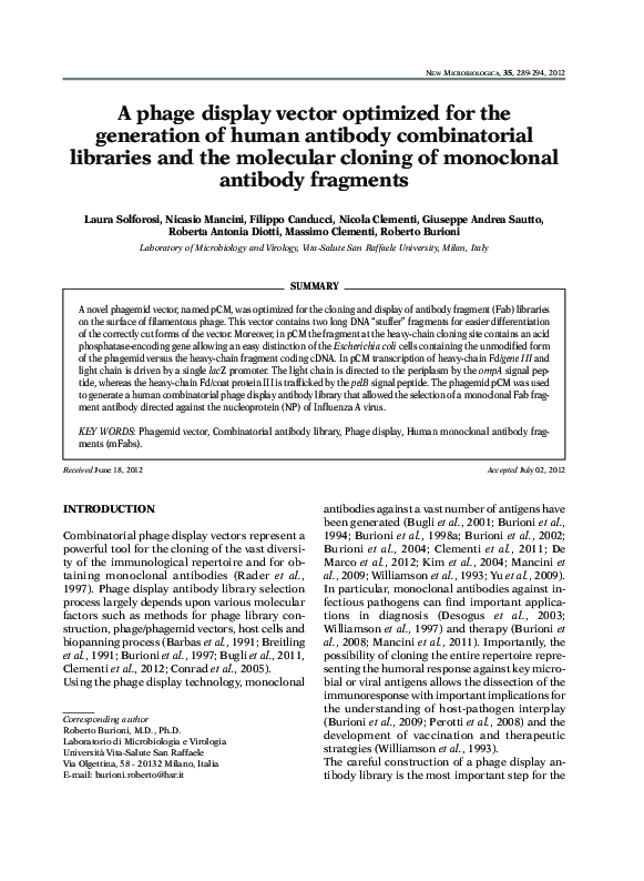 (PDF) A phage display vector optimized for the generation of human ...