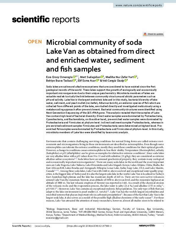 (PDF) Microbial community of soda Lake Van as obtained from direct and ...