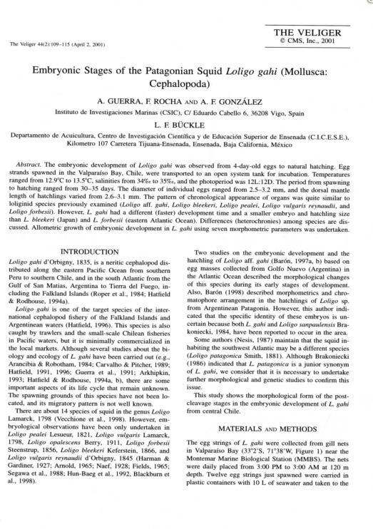 (PDF) Embryonic stages of the Patagonian squid Loligo gahi (Mollusca ...