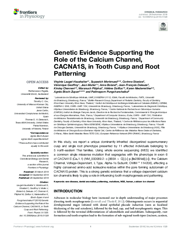 (PDF) Genetic Evidence Supporting the Role of the Calcium Channel ...