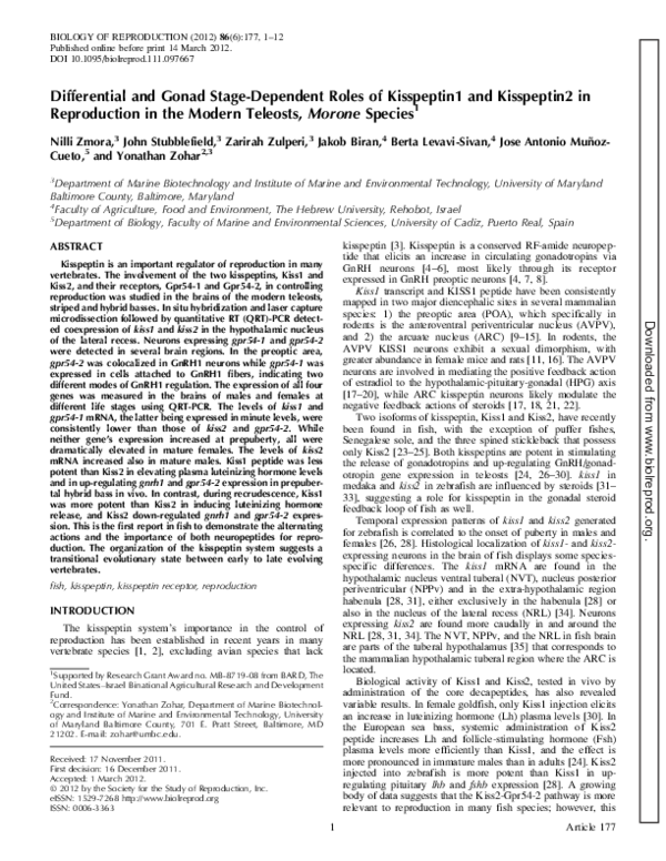 (PDF) Differential and Gonad Stage-Dependent Roles of Kisspeptin1 and ...