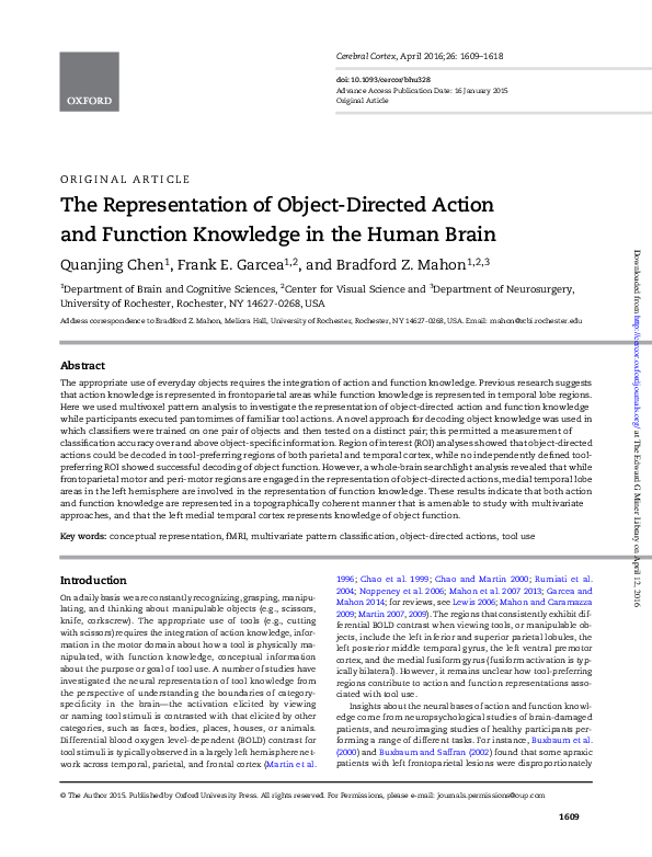 (PDF) Object Action and Function Knowledge in Human Brain Decoding