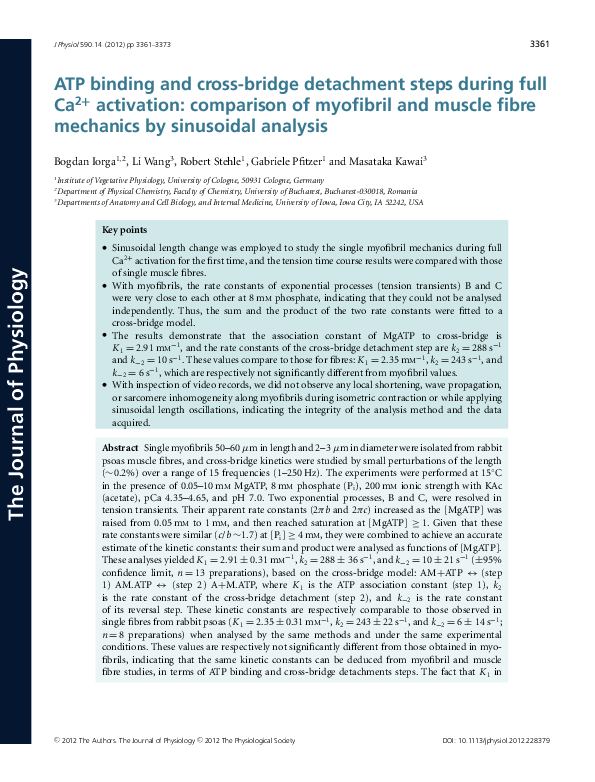 (PDF) ATP binding and cross-bridge detachment steps during full Ca2 ...