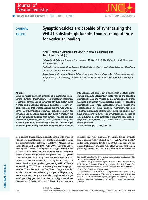 (PDF) Synaptic vesicles are capable of synthesizing the VGLUT substrate ...