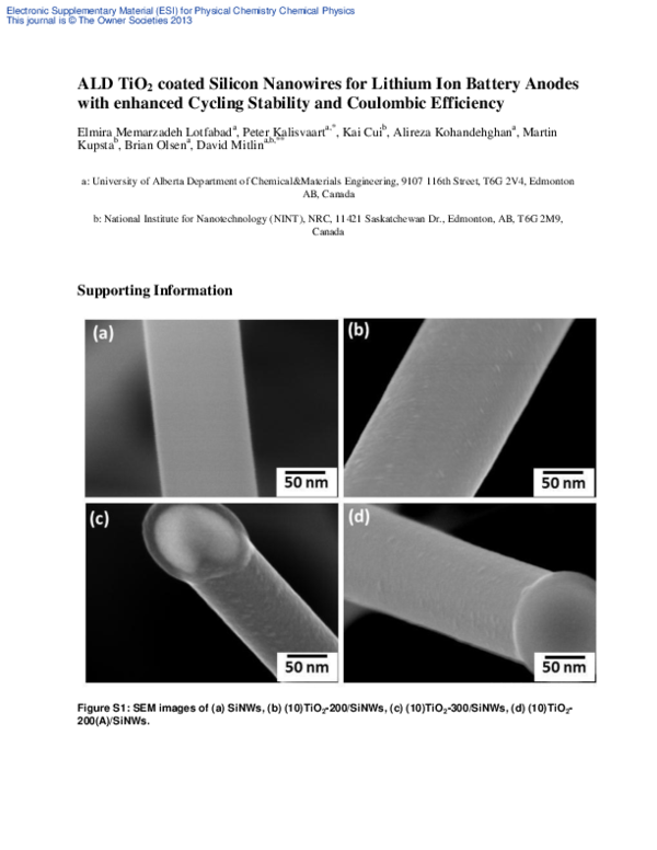 (PDF) ALD TiO2 coated silicon nanowires for lithium ion battery anodes ...
