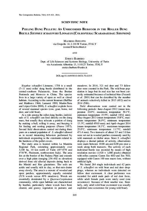 (PDF) Peeling Dung Pellets: An Unrecorded Behavior in the Roller Dung ...