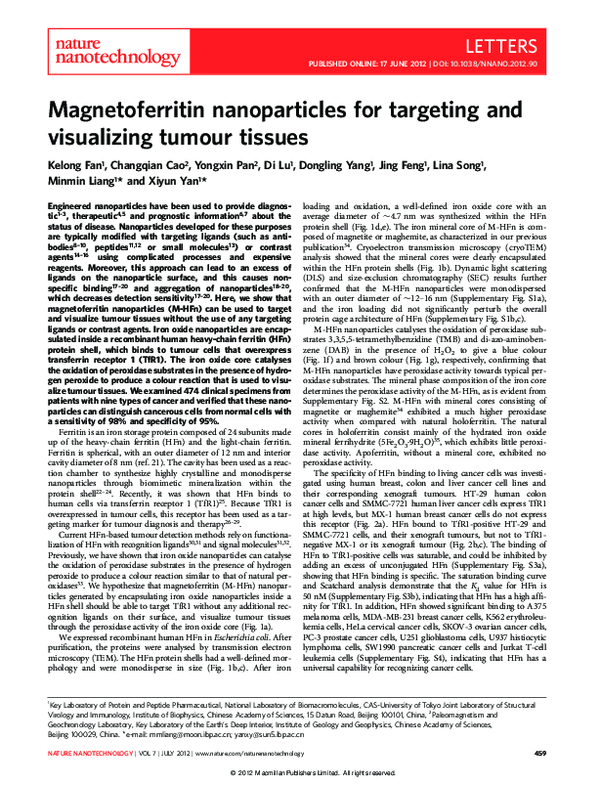 (PDF) Magnetoferritin nanoparticles for targeting and visualizing ...