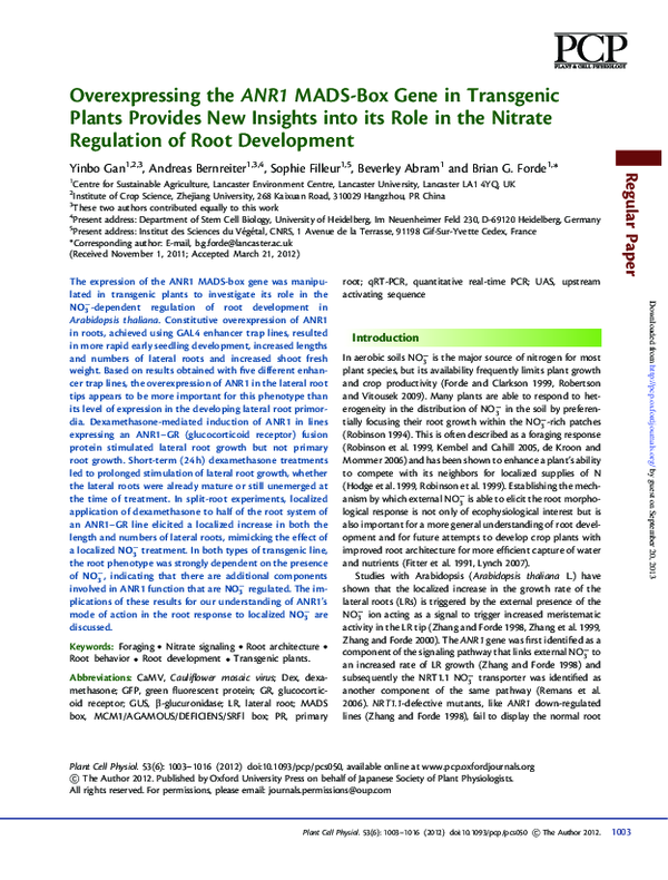 (PDF) Overexpressing the ANR1 MADS-Box Gene in Transgenic Plants ...