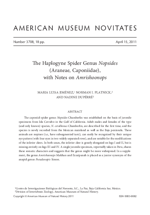 (PDF) The Haplogyne Spider Genus Nopsides (Araneae, Caponiidae), with ...