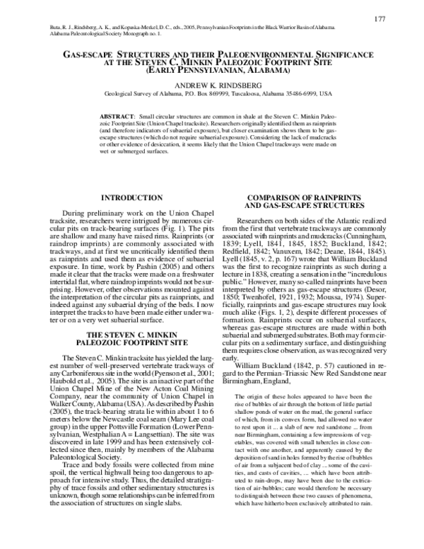(PDF) Gas-escape structures and their paleoenvironmental significance ...