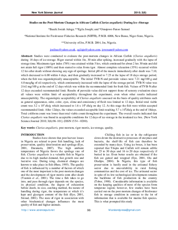 (PDF) Studies on the Post-Mortem Changes in African Catfish (Clarias ...