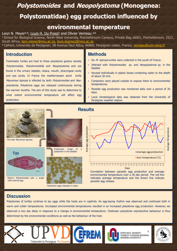 (PDF) Polystomoidesand Neopolystoma(Monogenea: Polystomatidae) egg ...