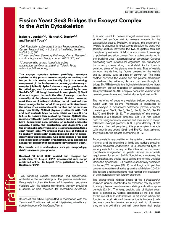 (PDF) Fission Yeast Sec3 Bridges the Exocyst Complex to the Actin ...
