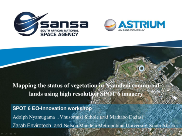 (PDF) Mapping the status of vegetation in Nyandeni communal lands using ...