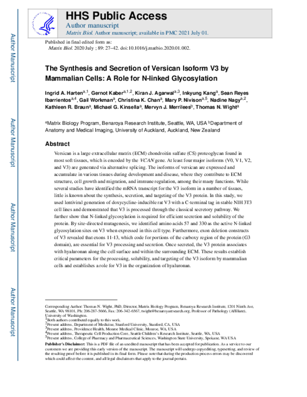 (PDF) The Synthesis and Secretion of Versican Isoform V3 by Mammalian ...