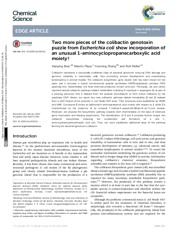 (PDF) Two more pieces of the colibactin genotoxin puzzle from ...