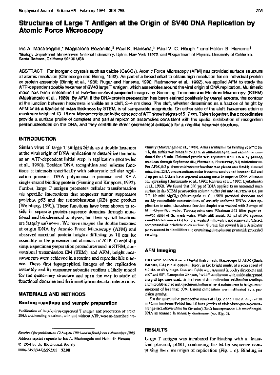 (PDF) Structures of large T antigen at the origin of SV40 DNA ...