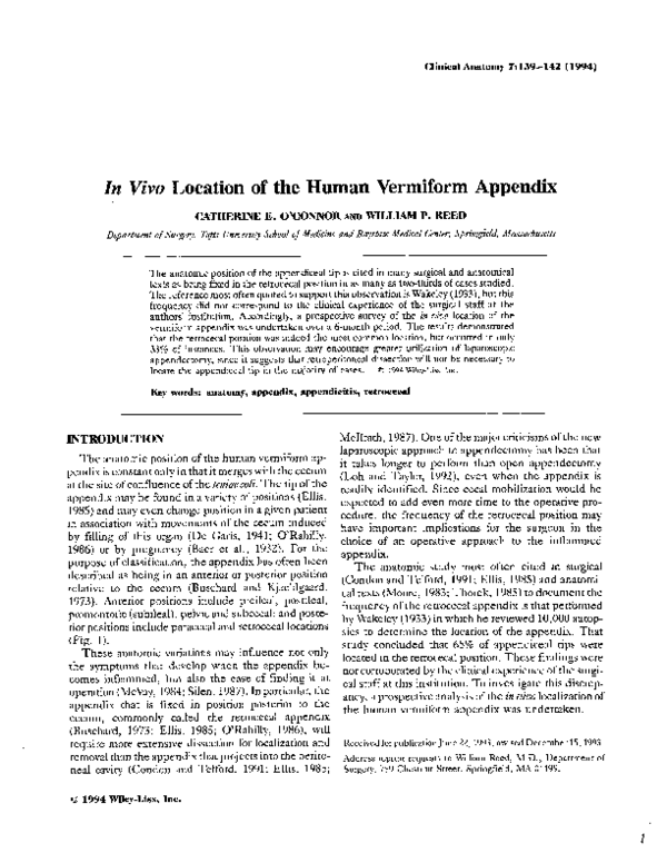 (PDF) In vivo location of the human vermiform appendix
